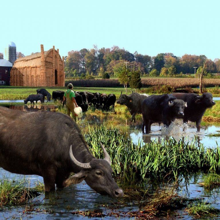 Wandeling in de toekomst deel 2 – Veen » Noorderbreedte